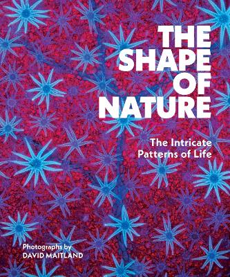 Shape of Nature: The Intricate Patterns of Life - Scorpio Books