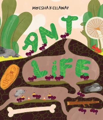 Ant Life (v2 Misunderstood Minibeasts) - Scorpio Books